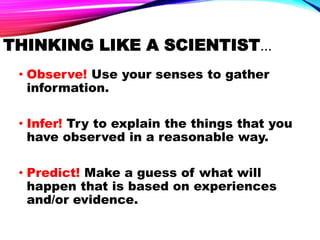 scientific method.ppt | Physics | Science