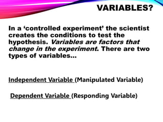 scientific method.ppt | Physics | Science