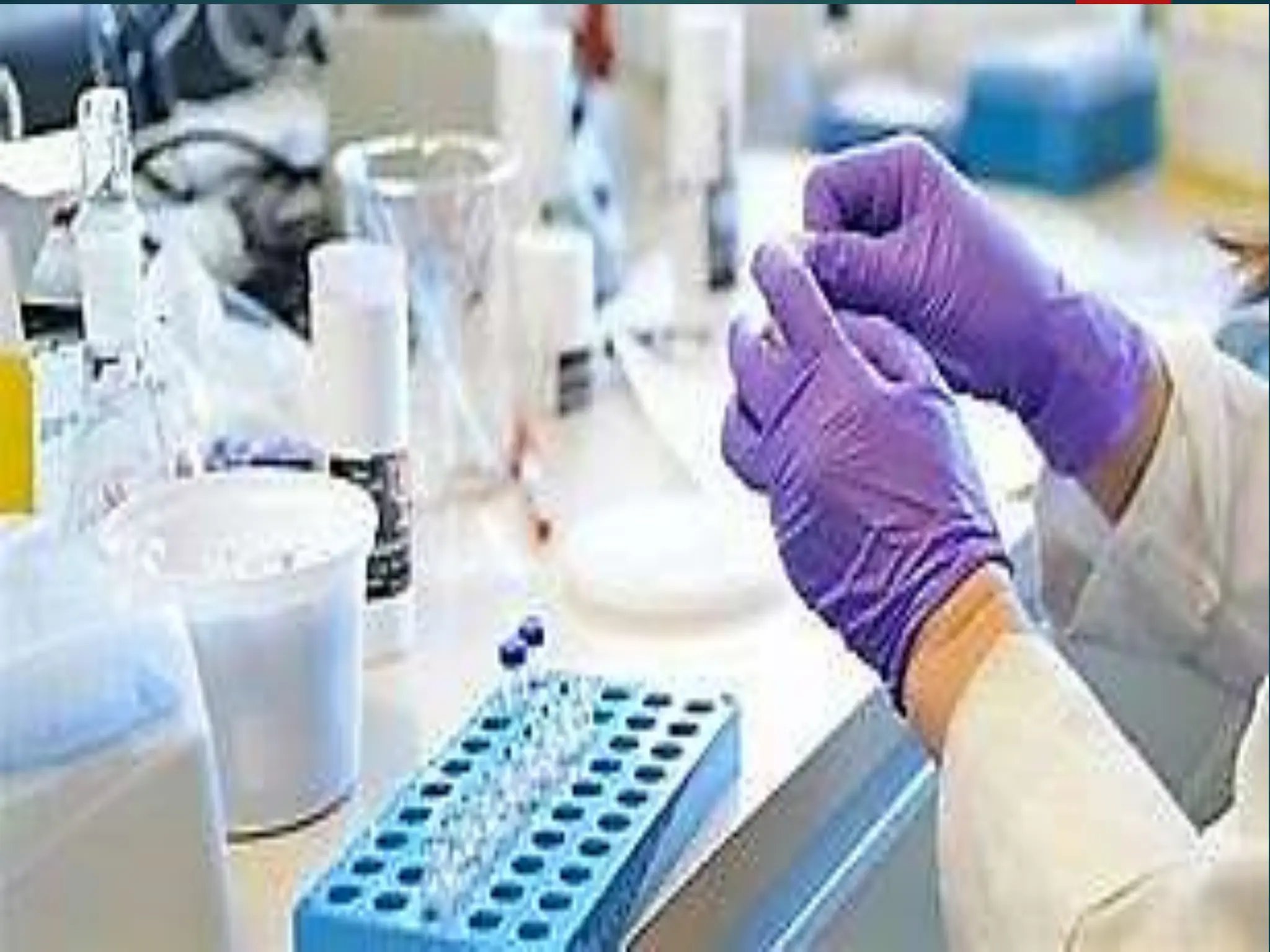 Steps of the scientific investigation.pptx