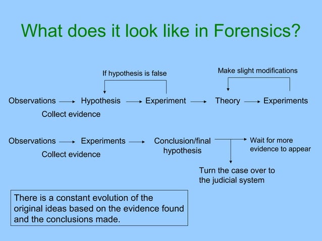 Scientific method forensics | PPT