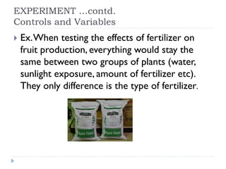Scientific Method - Reference SCIENCE HS | PDF