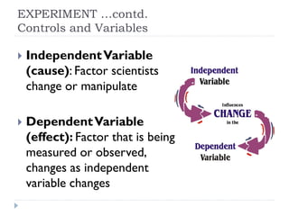 Scientific Method - Reference SCIENCE HS | PDF