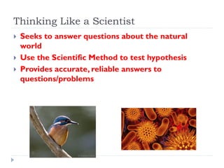 Scientific Method - Reference SCIENCE HS | PDF