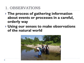 Scientific Method - Reference SCIENCE HS | PDF