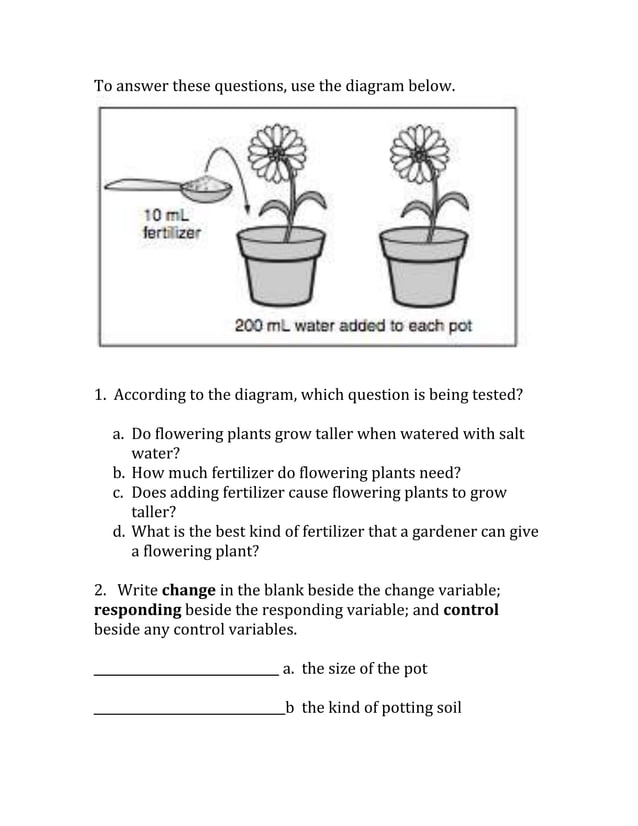 Scientific method variables (worksheet) | DOCX | Gardening | Home & Garden
