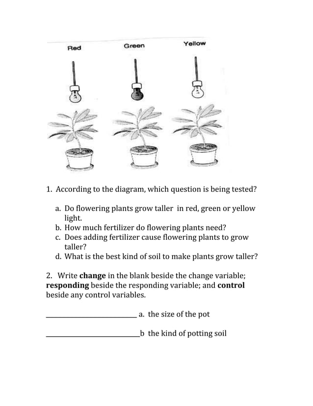 Scientific method variables (worksheet)