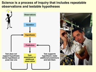 Scientific Method & Graphs | PPT | Biological Sciences | Science