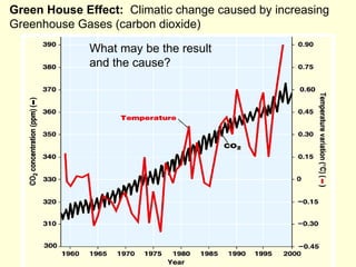 Scientific Method & Graphs | PPT