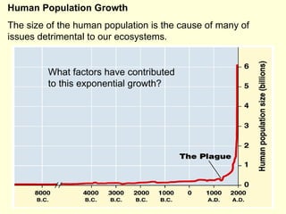 Scientific Method & Graphs | PPT
