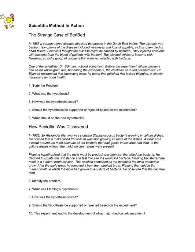 Scientific method in action activity | DOC