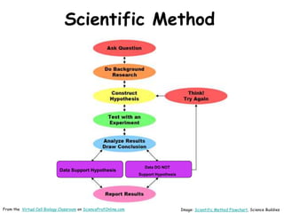Scientific Method Lecture+.ppt | Infectious Diseases | Diseases and ...