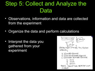 Scientific method PPT 2013 for notes | PPT