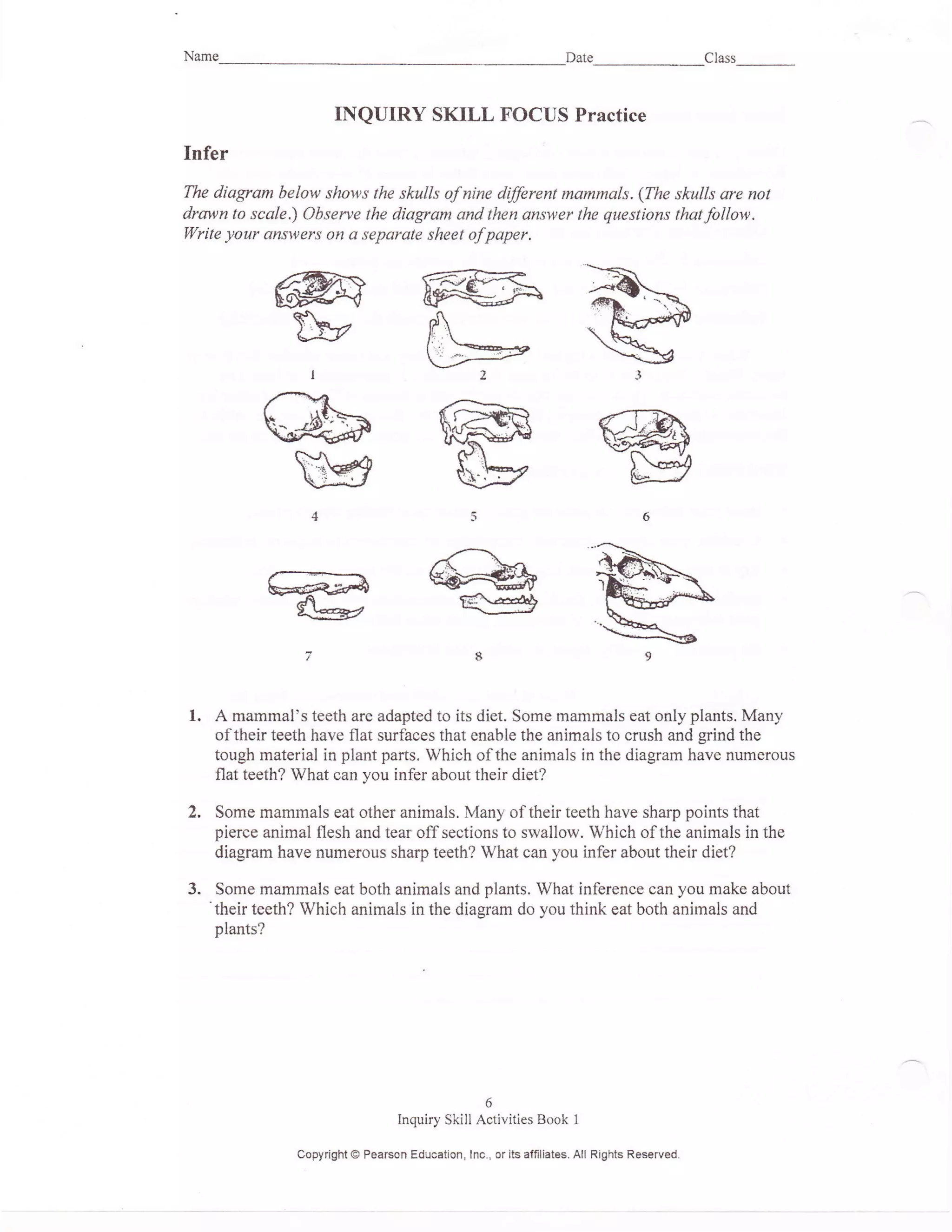 Scientific method packet | PDF