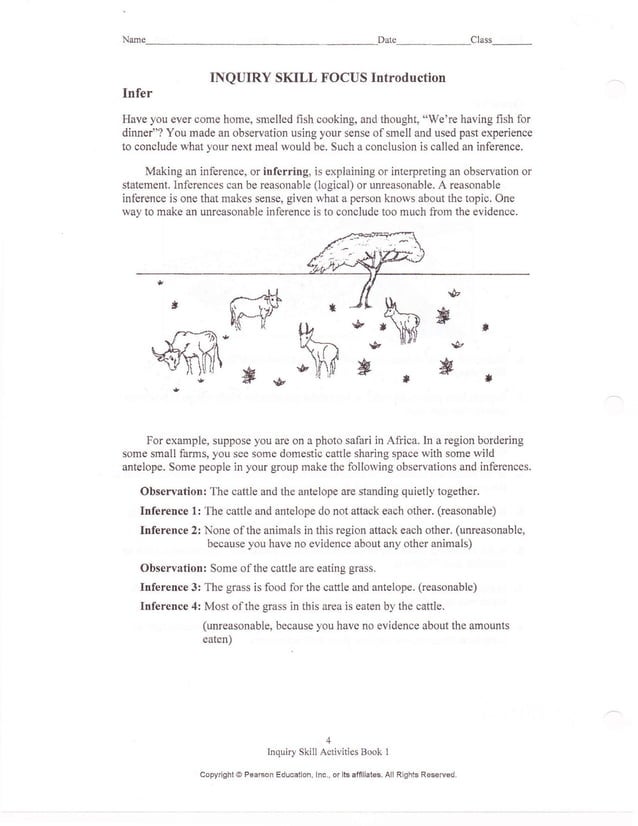 Scientific method packet | PDF