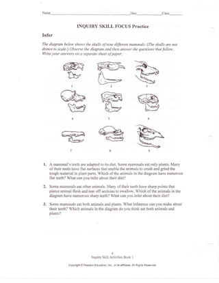 Scientific Method Packet Pdf