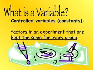 Constants In Science