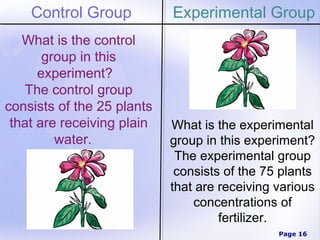 Scientific method power point | PPT