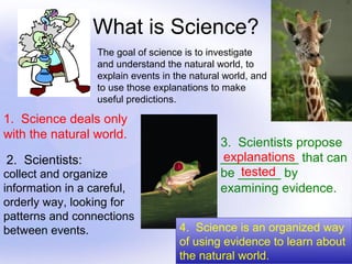 Scientific method power point | PPT
