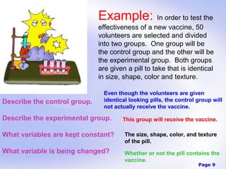 Experimental Group Example