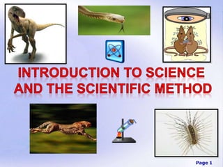 Scientific Method PowerPoint.ppt