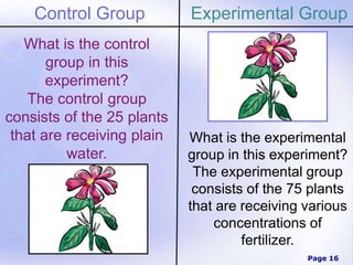 Scientific Method PowerPoint.ppt