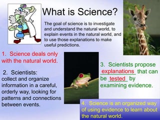 Scientific Method PowerPoint.ppt