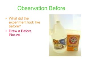 Scientific Method Ppt | PPT