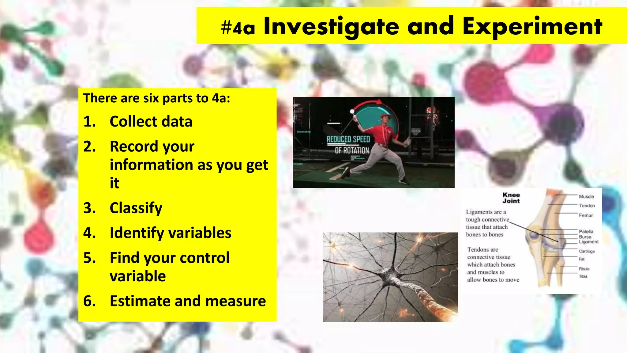 Scientific method ppt | PPTX