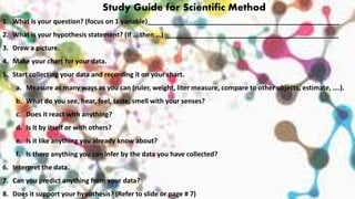 Scientific method ppt | PPTX | Science