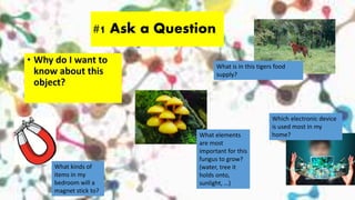 Scientific method ppt | PPTX