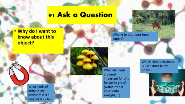 Scientific method ppt | PPTX | Science