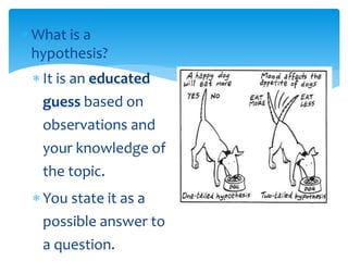 Scientific_Method_PPT.ppt