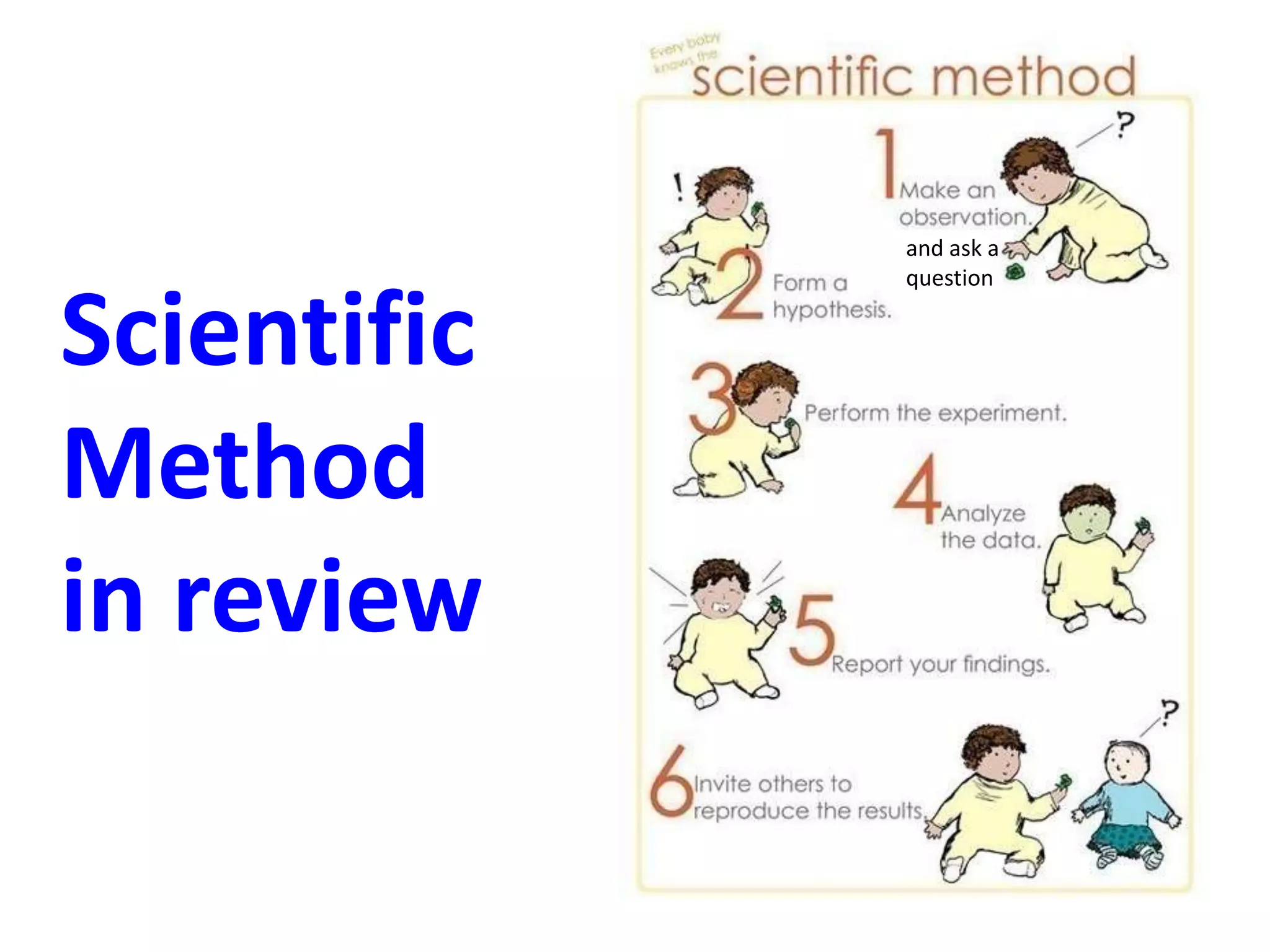 Scientific method procedures (Teach) | PPTX | Gardening | Home & Garden