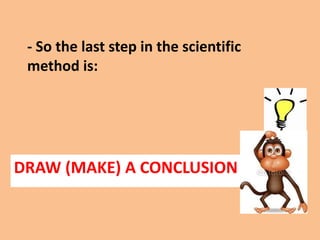 Scientific method story | PPTX | Science