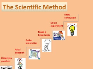 Scientific method story | PPTX