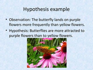 Scientific Method | PPT
