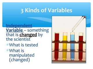 Scientific method & variables | PPT