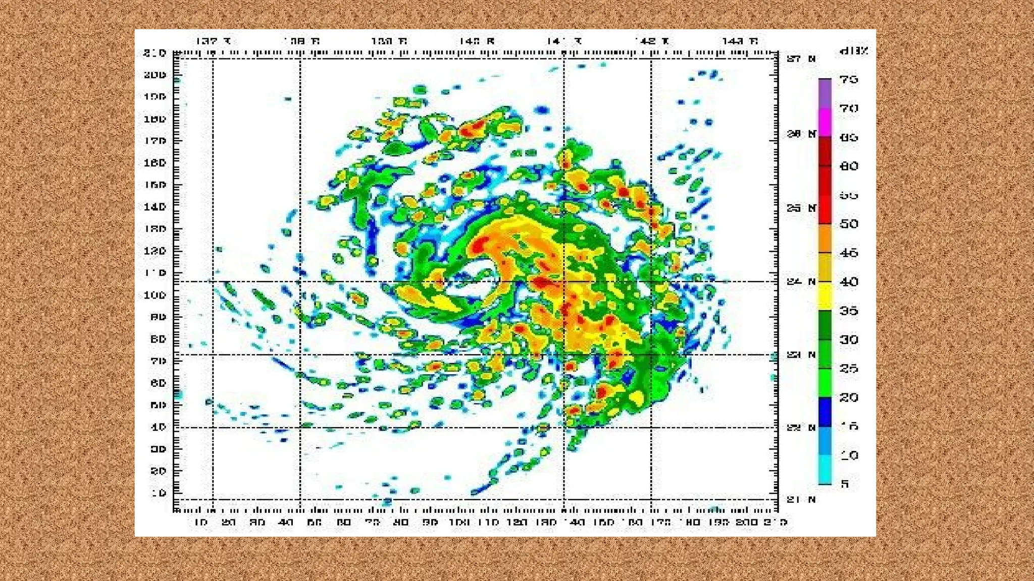 SCIENTIFIC MODELS .pptx