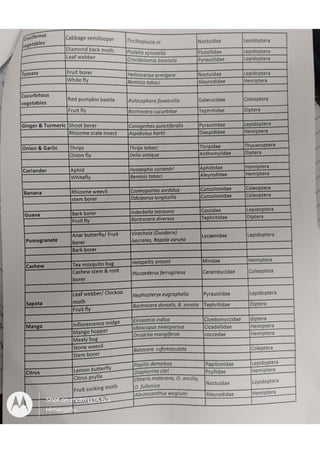 Scientific name,Family, Order of all insect pests.pdf