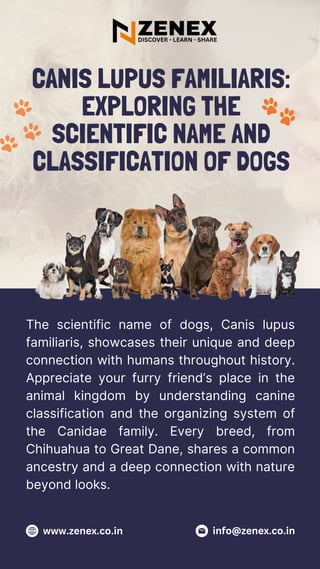 Unleash the Canine Classification: Discover Scientific name of Dog | PDF
