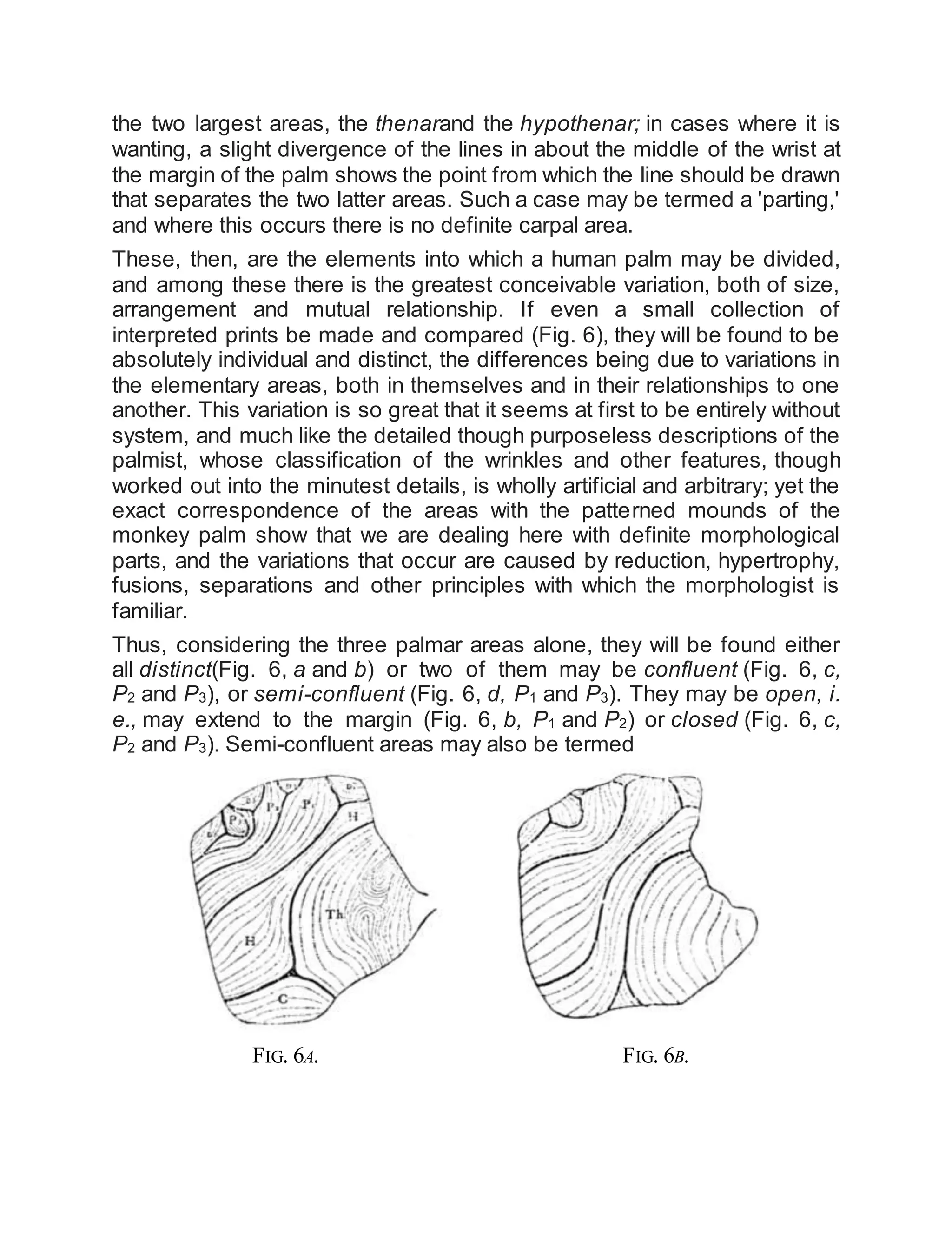 Scientific palmistry | DOCX