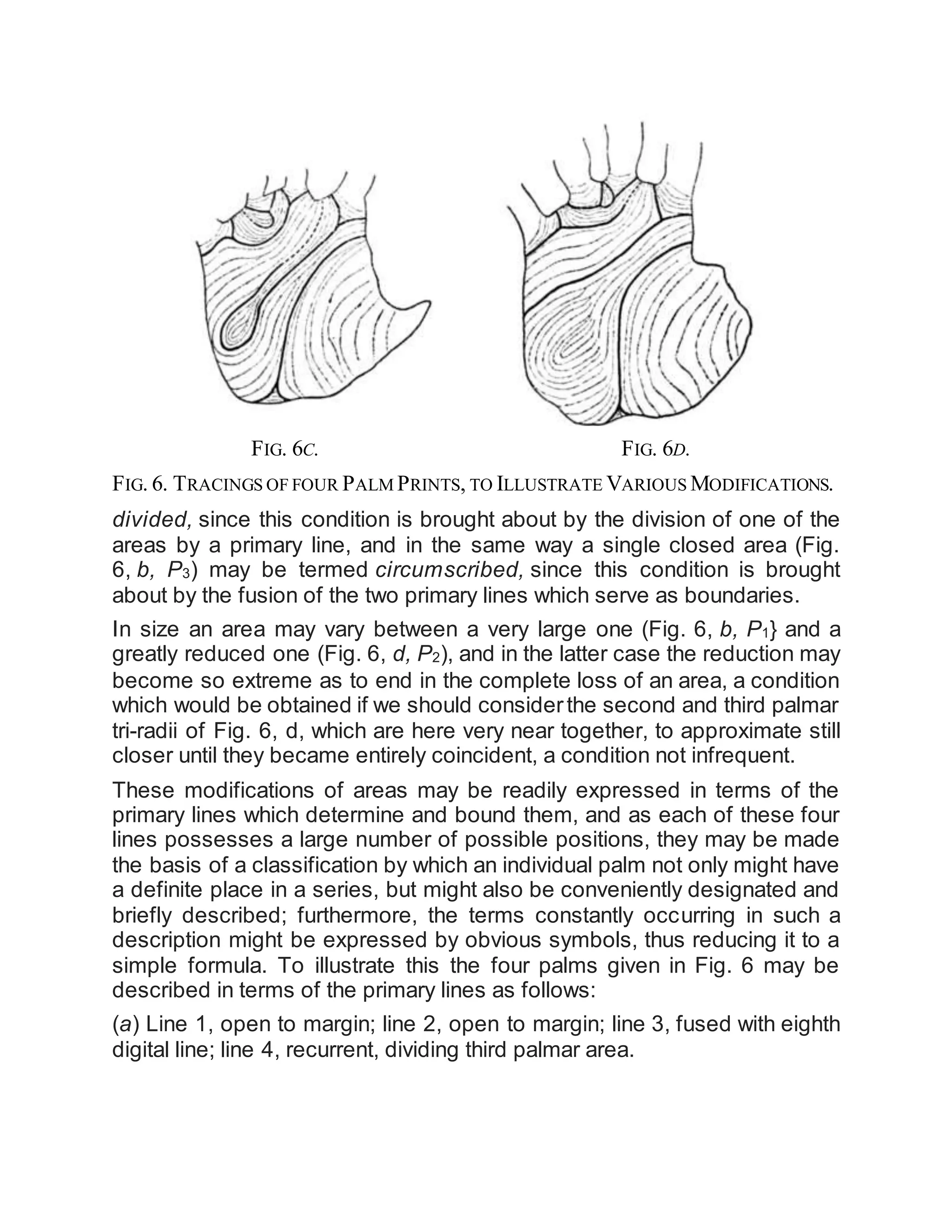 Scientific palmistry | DOCX