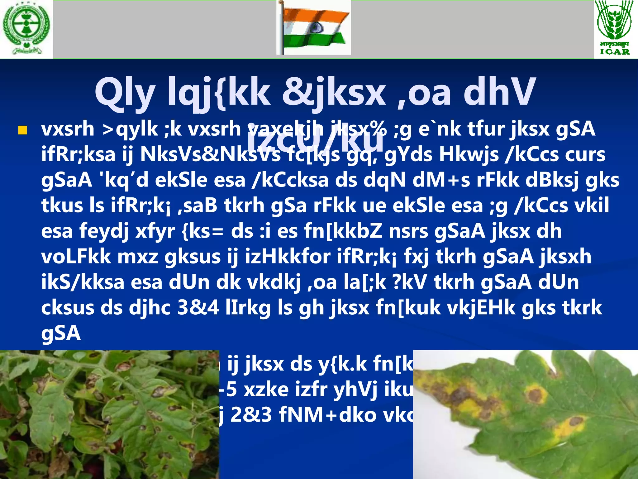 Scientific potato cultivation.ppt