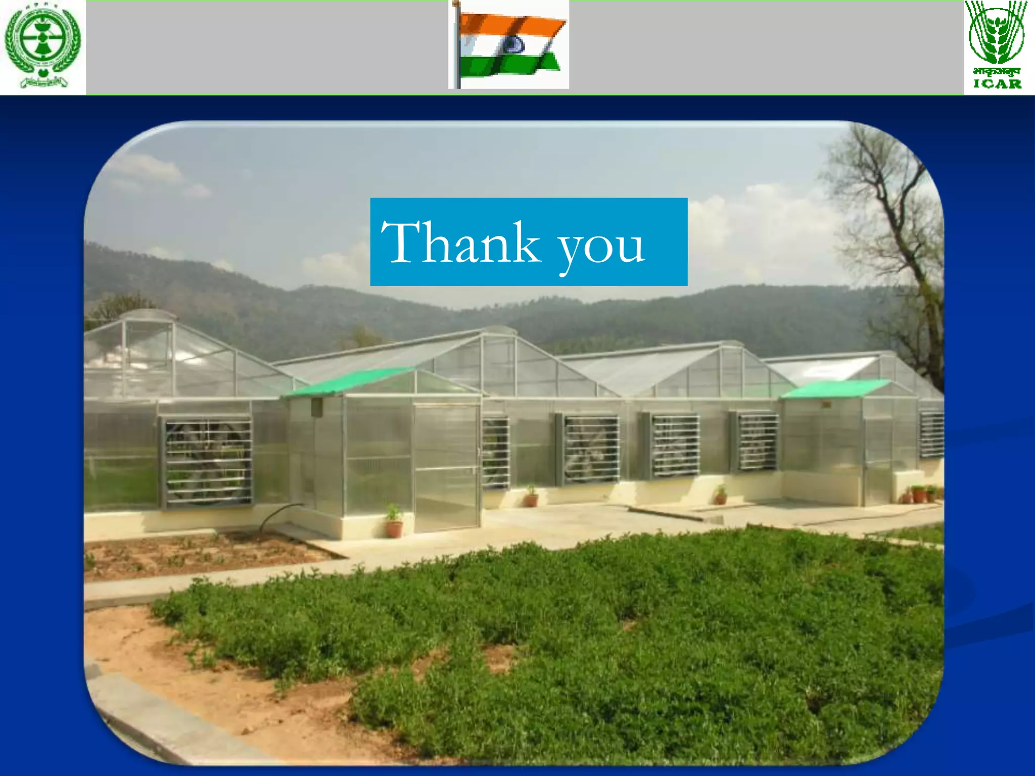 Scientific potato cultivation.ppt