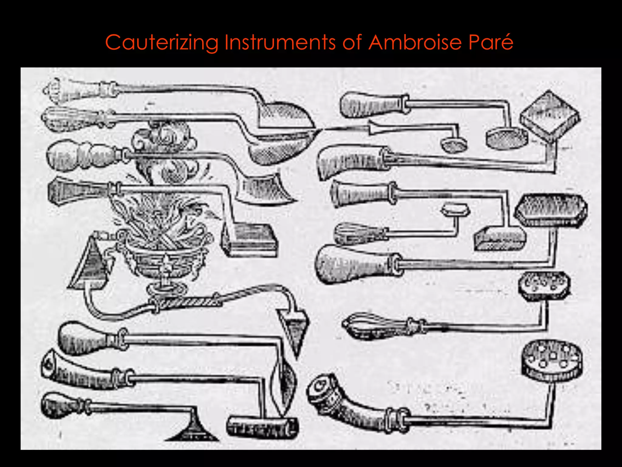 Scientific Revolution Notes | PPTX