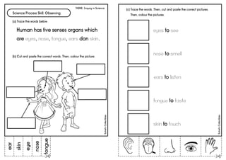SCIENTIFIC SKILLS YEAR 1 SAMPLE QUESTION | PDF