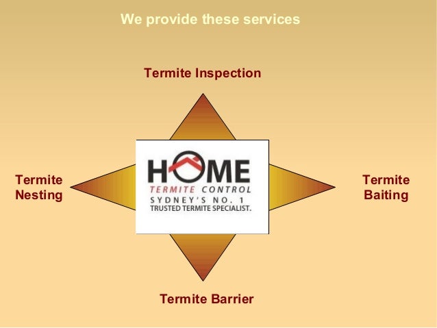 Scientific Termite Management System