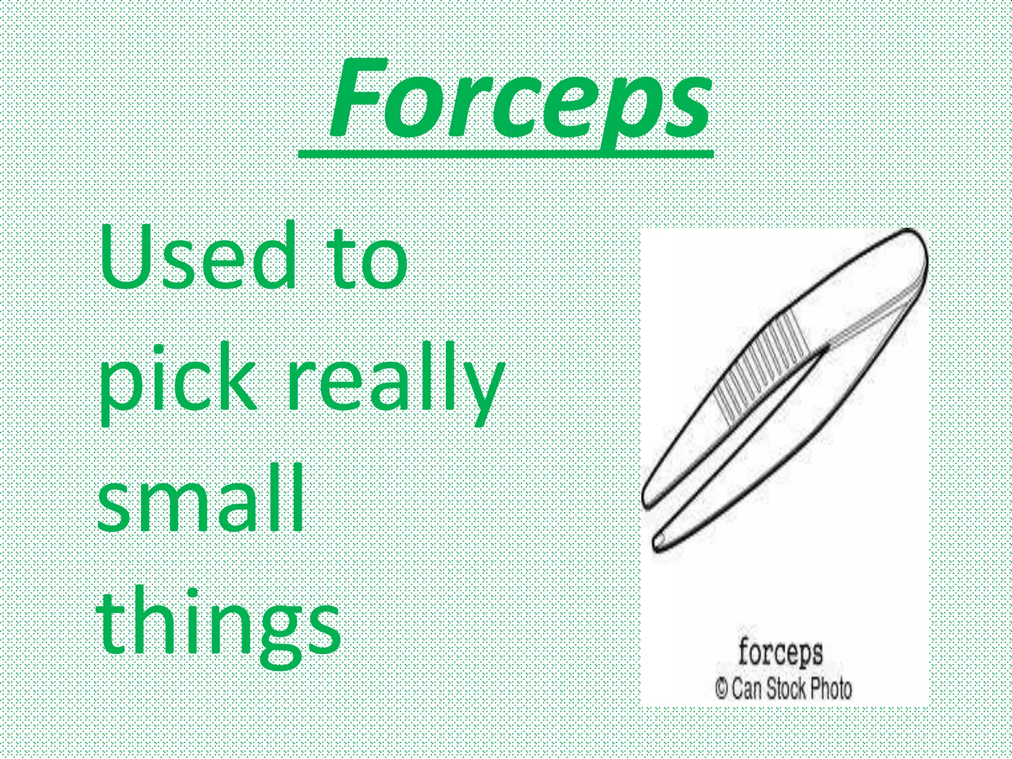 Grade 3: Scientific tools | PPTX