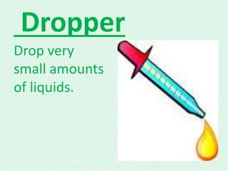 Grade 3: Scientific tools | PPTX