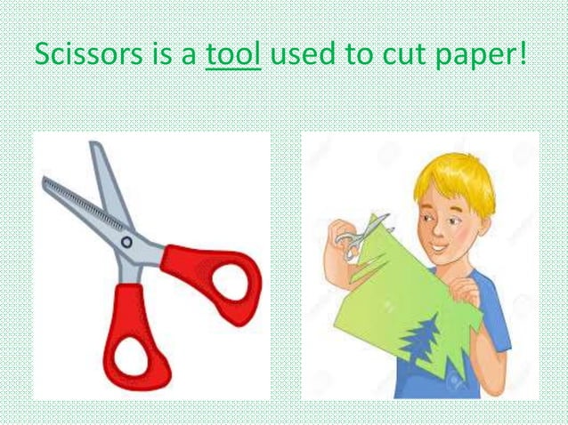 Grade 3: Scientific tools | PPTX